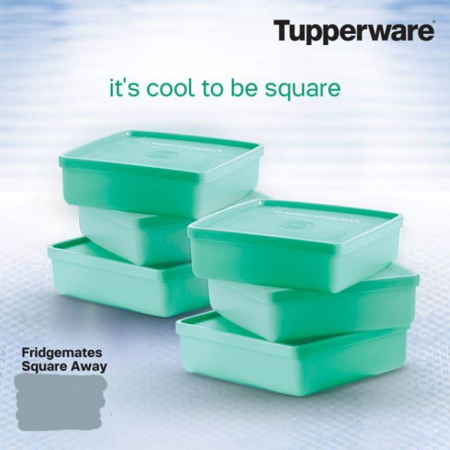 Original Tupperware Brand Fridgemate Square Away 375ml | Shopee Philippines