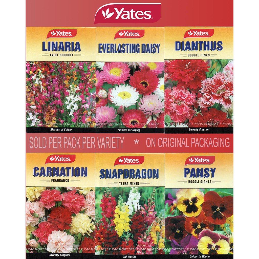 Yates Flower Seeds - Sold per Pack per Variety KECORP_S1 | Shopee ...