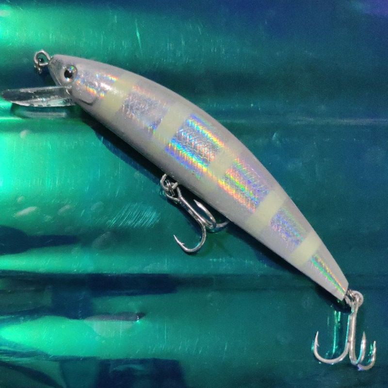 Budget Sinking Minnow / Sinking Minnow(12cm/39g) | Shopee Philippines