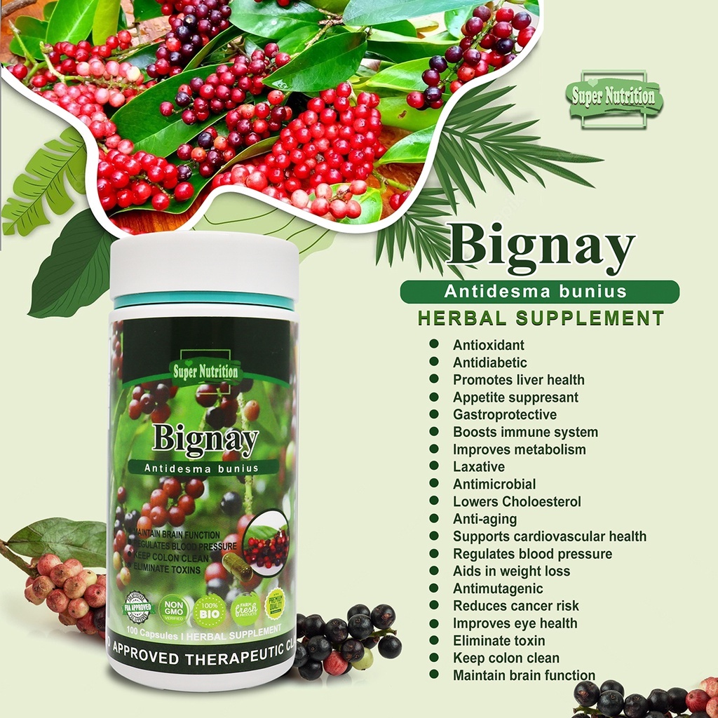 Authentic Bignay Supplement Capsules 500mg Bottle of 100 (Antidesma ...
