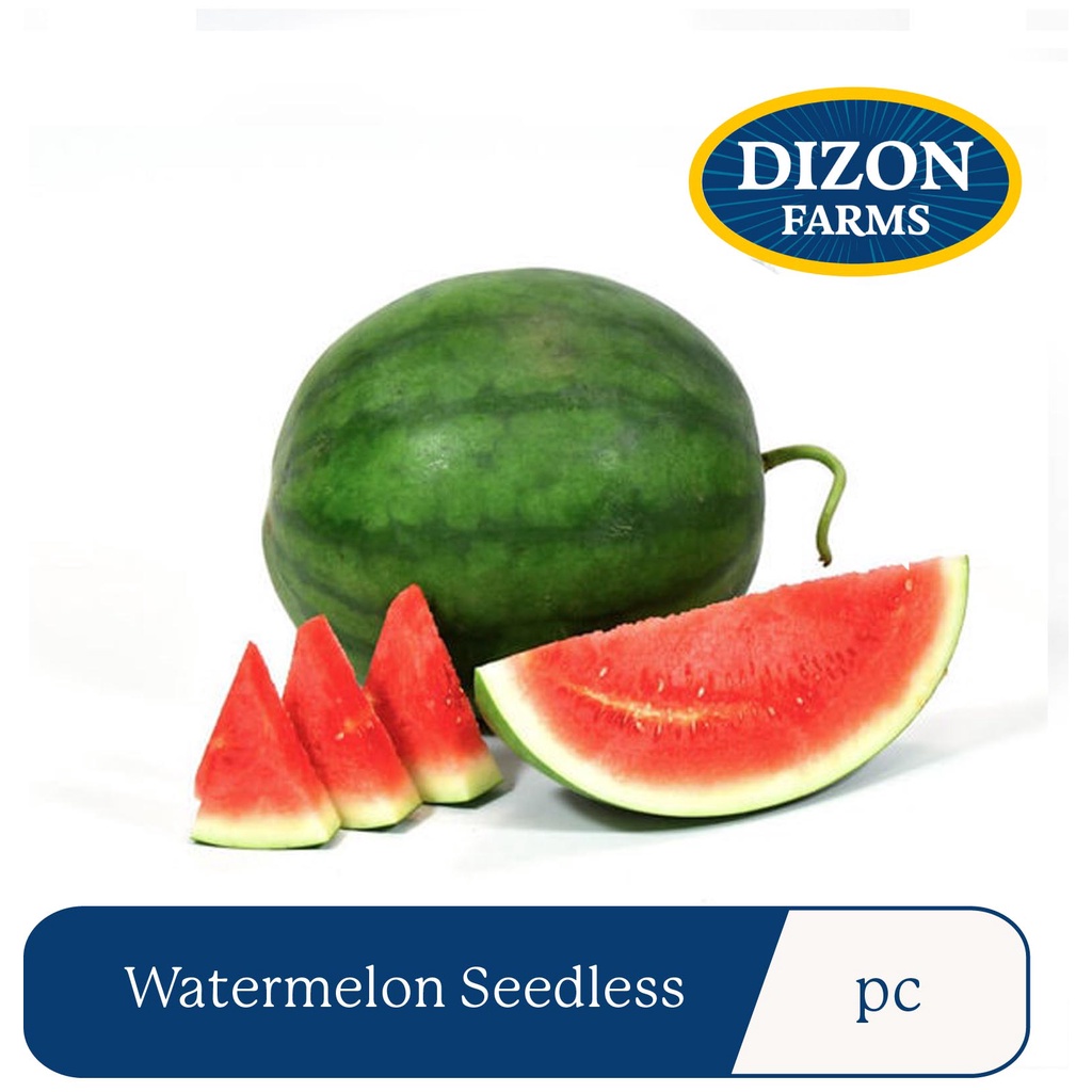 Dizon Farms - Watermelon Seedless / pc | Shopee Philippines