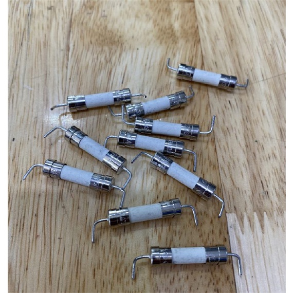 Plug fuse 8A 250V ceramic pin fuse (5 pieces) | Shopee Philippines