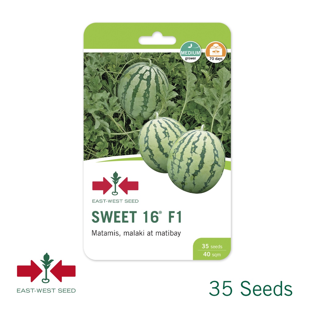 Eastwest Seed [SWEET 16 F1] Pakwan/Watermelon Go Grow Pack | Shopee ...
