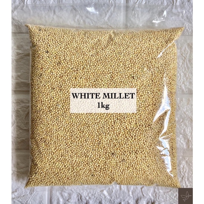 BIRD SEED WHITE MILLET,MIXED,CANARY,OATGROAT,SAFF FLOWER,SUNFLOWER ...