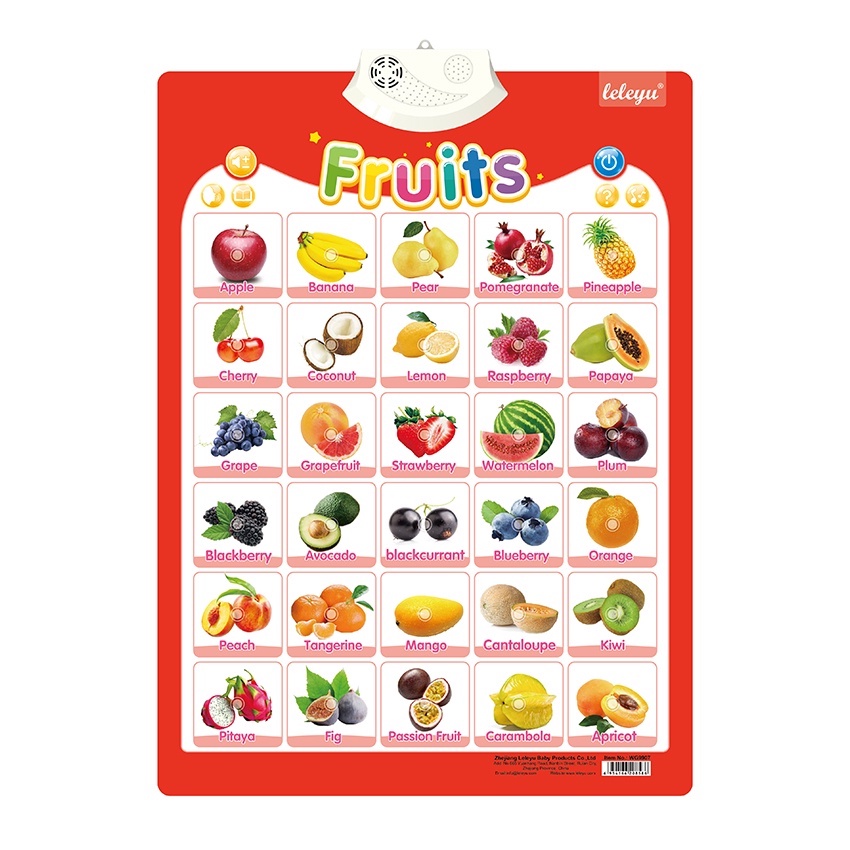 Electronic Interactive Alphabet Numbers Vehicles Fruits Wall Chart ...