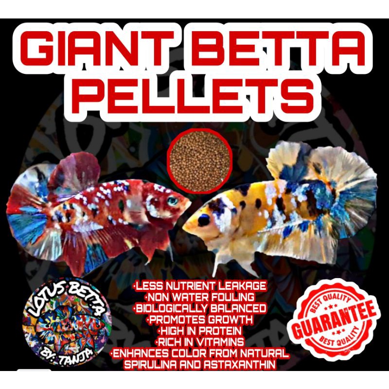 GIANT BETTA PELLETS (PELLETS FOR LARGE SIZED BETA) | Shopee Philippines