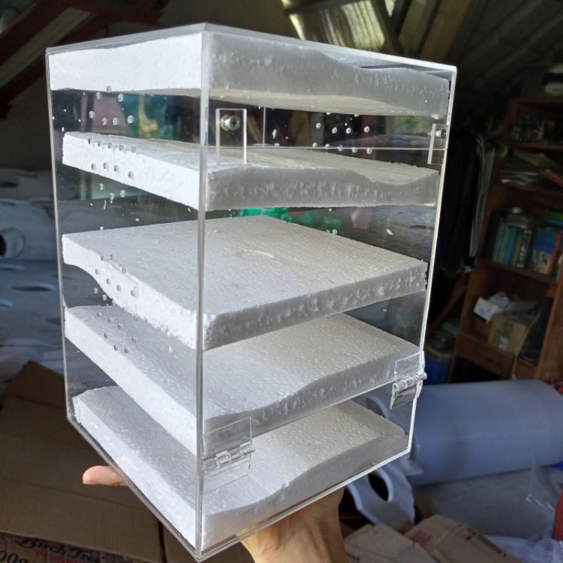 4*4*9 inches acrylic enclosure / tarantula enclosure / | Shopee Philippines