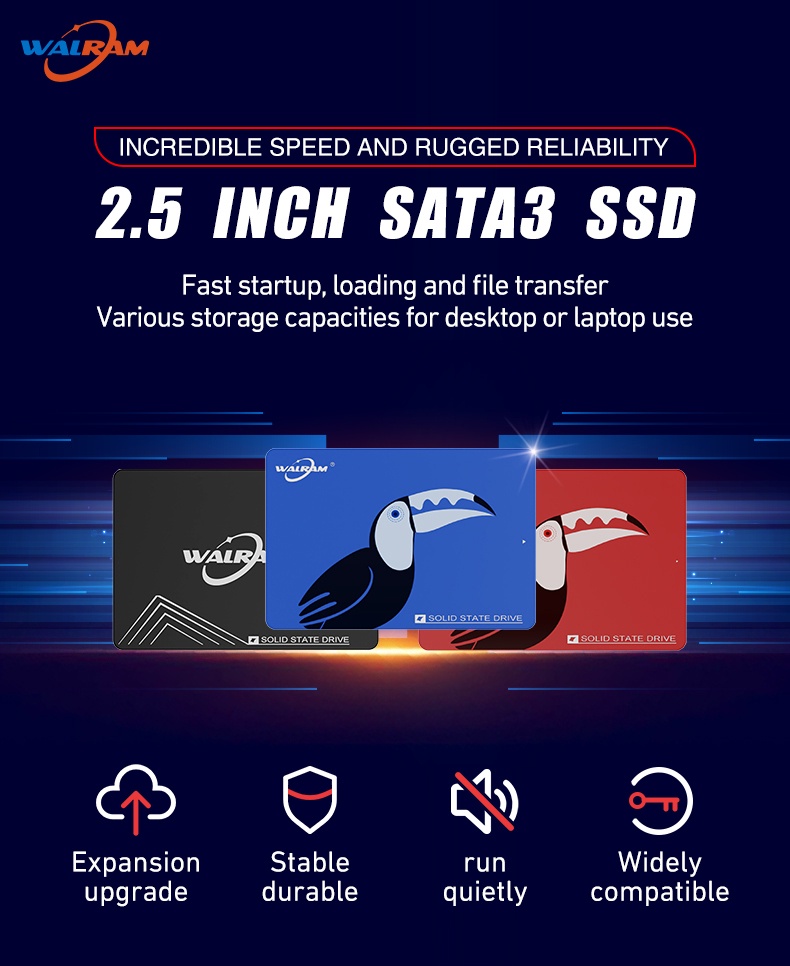 WALRAM R9B SSD 128GB Solid State Drive 2.5 inch SATA3 Slot 512GB 500GB ...