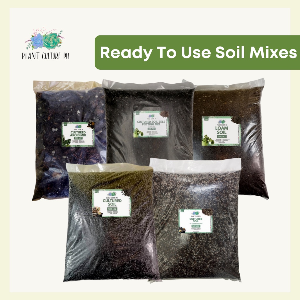 Ready To Use Premium Soil Mixes for Plants | CNS, Aroids, Flowers ...