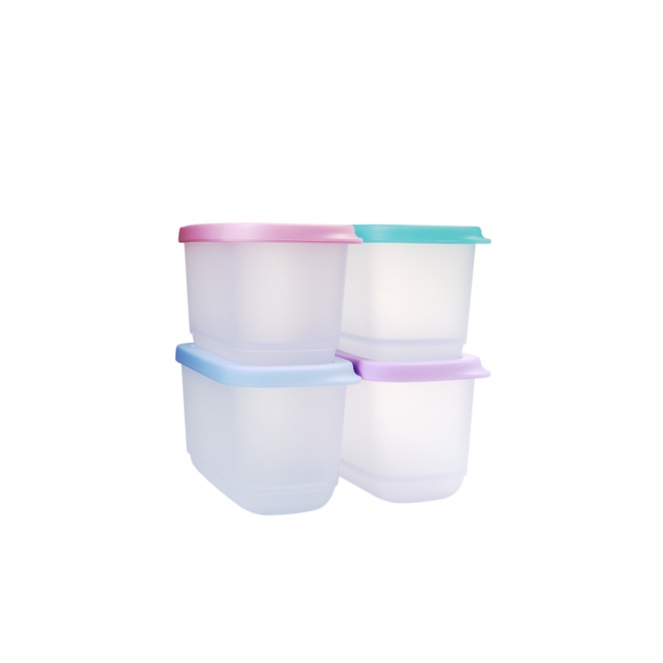Cubix Mini Rectangular 250ml food storage box set (4) | Shopee Philippines