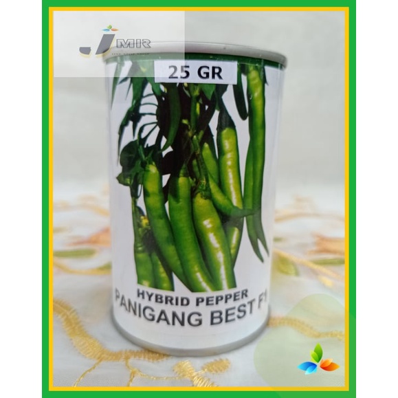 Siling Panigang/ Panigang Best F1 by Condor High Quality seeds 25 grams ...