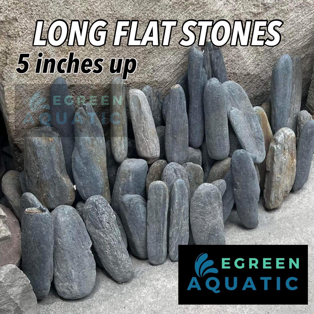 Flat Stone 5inches (Sold per Piece) For Aquarium Aquascape Pebbles ...