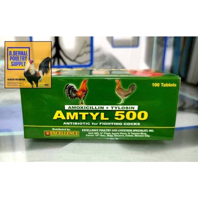 AMTYL 500 10pcs (AMOXICILLIN + TYLOSIN) By: R Bernal Poultry Supply ...