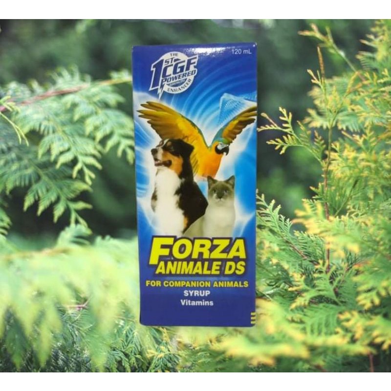 Forza Blue Animale DS (120ml) | Shopee Philippines