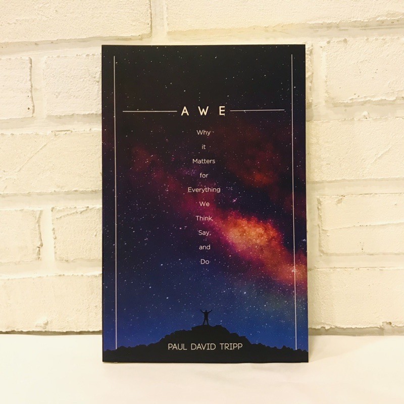 Awe (Paul David Tripp) | Shopee Philippines