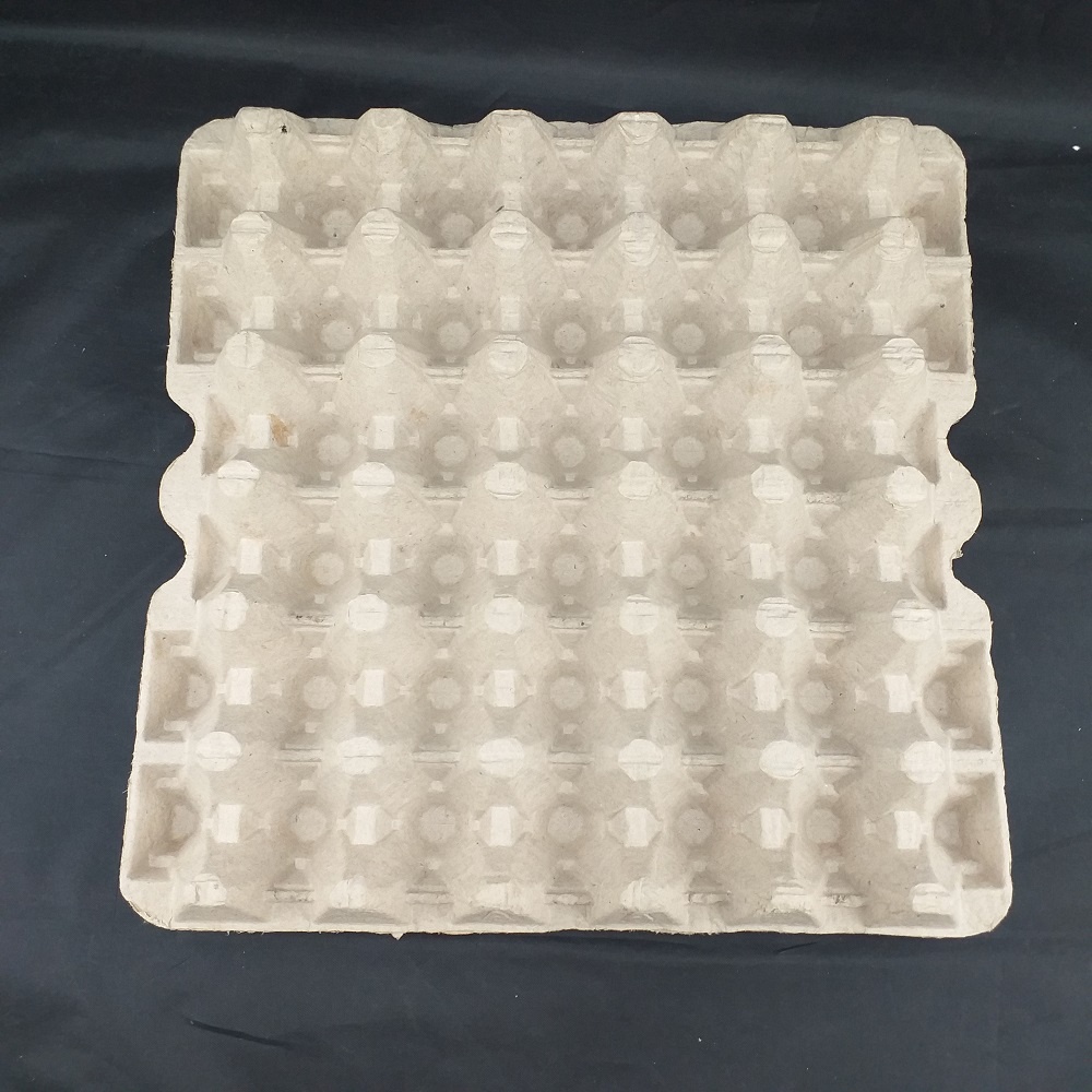Paper Pulp Made Egg Tray by 30s (MEDIUM) | Shopee Philippines
