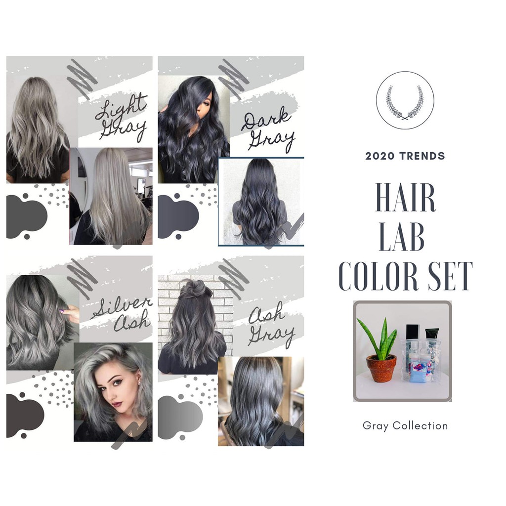 buy 1 take 1 Hair Color Set by PIMP MY HAIR PH (Grey Collection ...