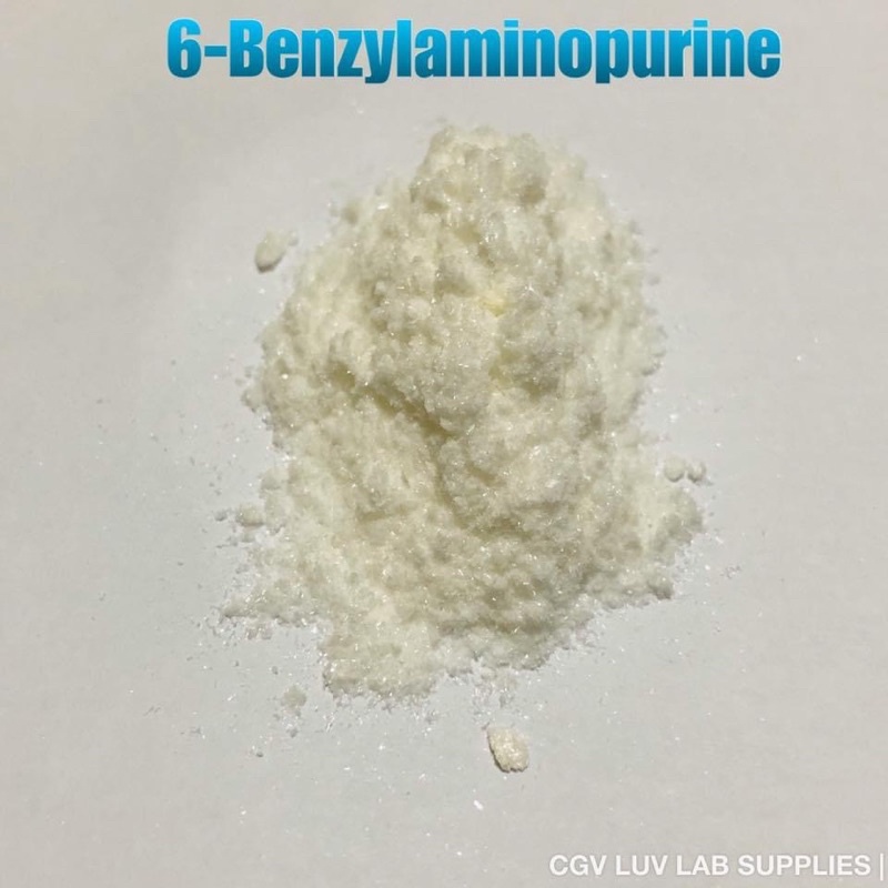 6-Benzylaminopurine / 6-BA / 6-BAP / Plant Growth Hormone / Cytokinin 3 ...