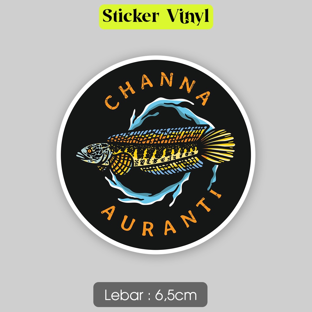 Channa Auranti Snakehead Fish Sticker Vinyl Sticker with Predator Fish ...