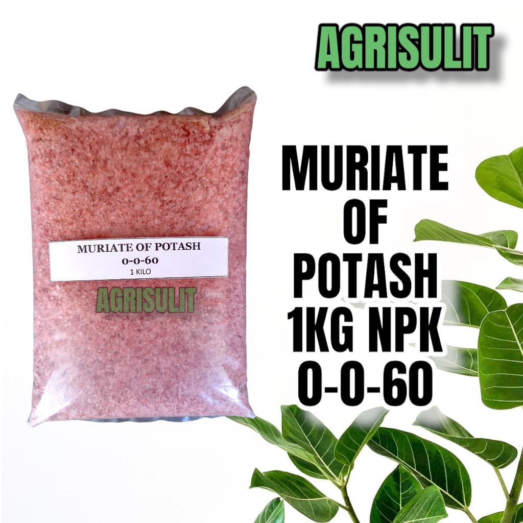 MURIATE OF POTASH FERTILIZER NPK 0-0-60 (1KILO) | Shopee Philippines