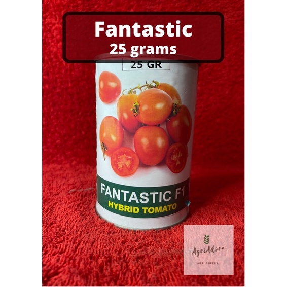 FANTASTIC F1 Hybrid Tomato Seeds 25 grams (Condor Quality Seeds ...