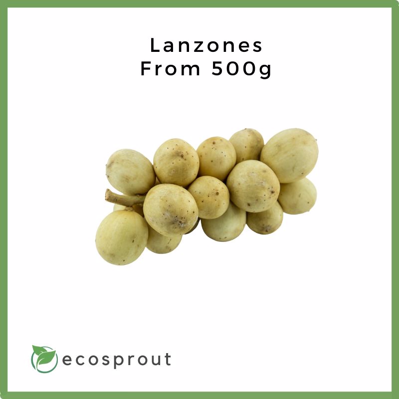 Fresh Lansones Native | Davao Longkong | 500g | 1kg | Fresh Vegetables ...
