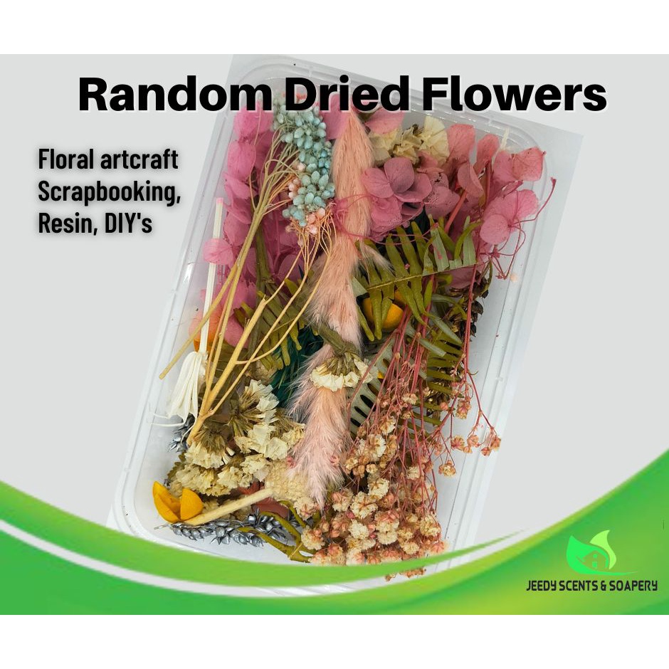 Dried Flowers (Random Color and Appearance) | Shopee Philippines