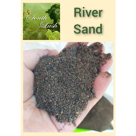 River Sand 1 kilogram | Shopee Philippines