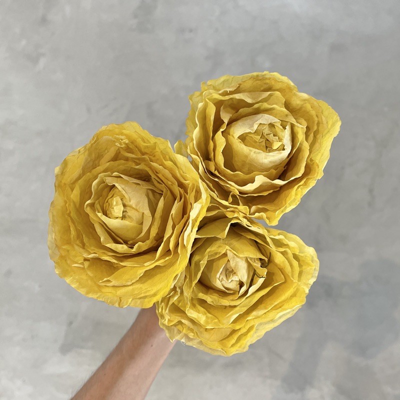 Fossilized/Dried Rose Flower (3 stems) | Shopee Philippines
