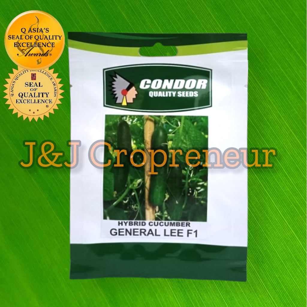 GENERAL LEE F1 HYBRID CUCUMBER 45 SEEDS (CONDOR) | Shopee Philippines