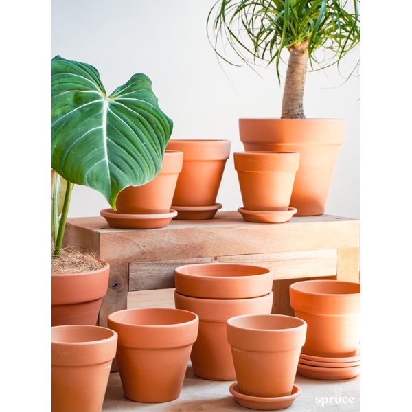 Spruce Sahara Premium Terracotta Pots W Tray | Shopee Philippines