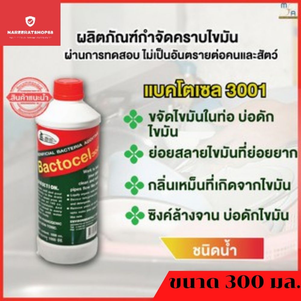 Bad Smell Solution Clogged Toilet To Fix Toilets Break Down Fat Pipes ...