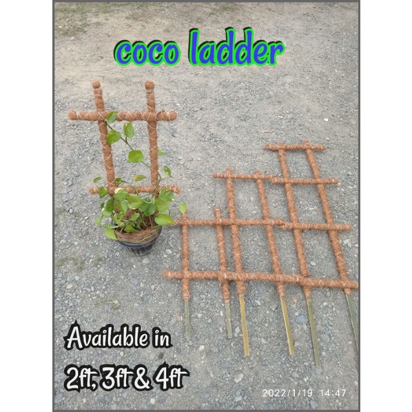 coco ladder for plants/Coco ladder/Coco pole/trellis/trellis for plants ...
