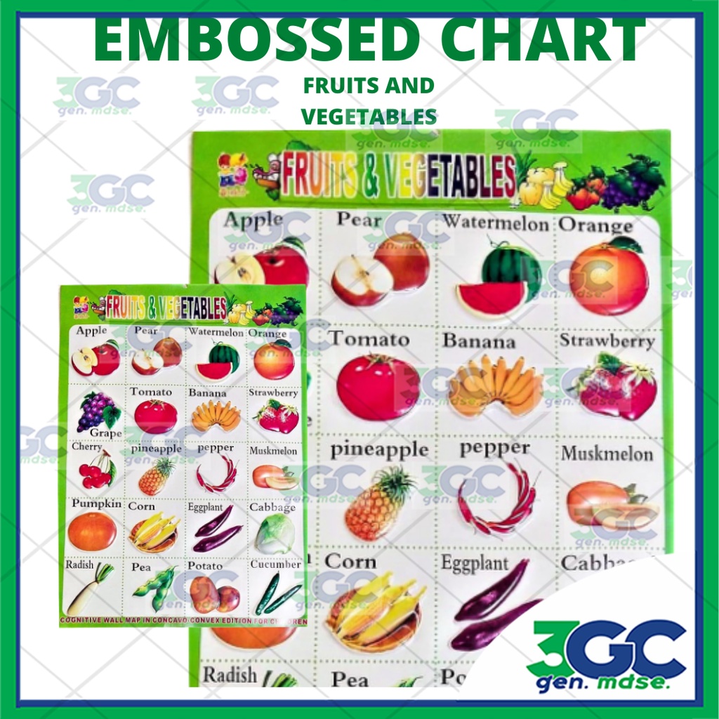 Embossed Plastic Charts ( BASAHIN ANG PRODUCT DETAILS) | Shopee Philippines
