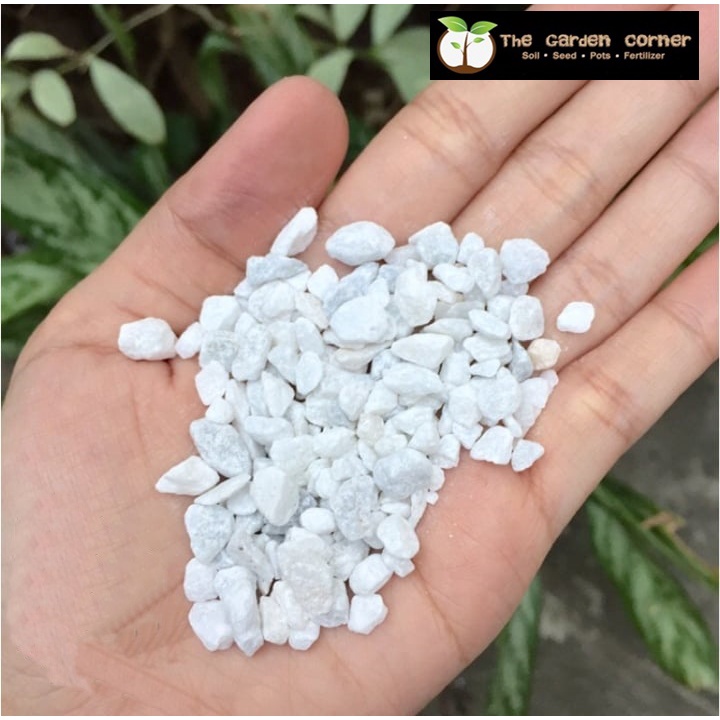 3KG White Pebbles (Size 10) | Shopee Philippines