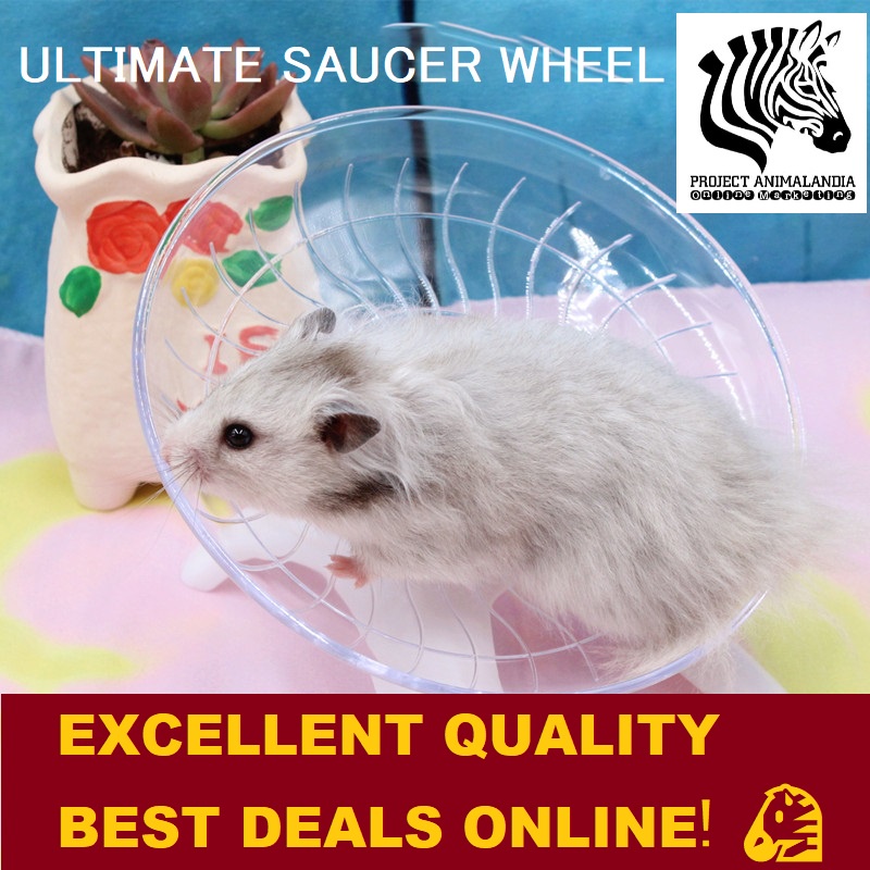 HAMSTER WHEEL TOY Silent Toy Saucer disc wheels (18x18x11) | Shopee ...