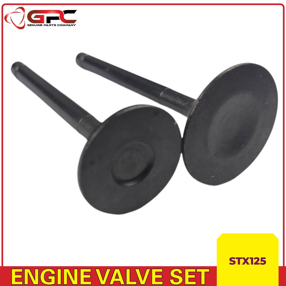 Yamaha STX125 GPC Intake & Exhaust Engine Valve Set (2 pcs) | Shopee ...