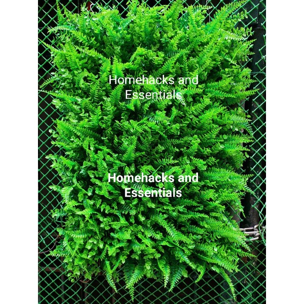 ARTIFICIAL GARDEN GRASSMAT FERN MAT WALL DECOR GRASSWALL 60cmsx40cms ...