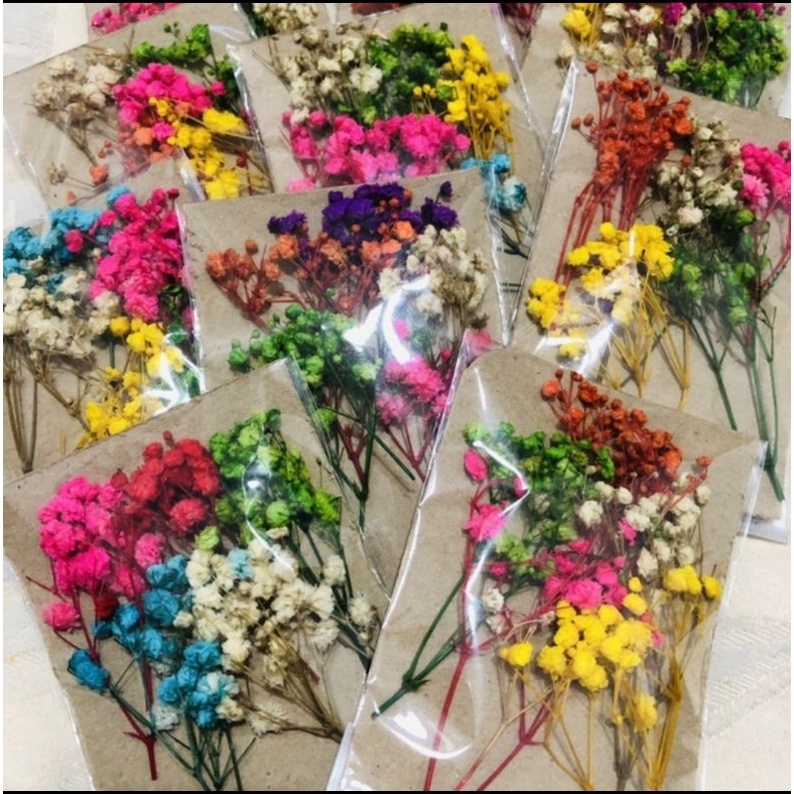 Gypsophila Dried Flower Assorted | Shopee Philippines
