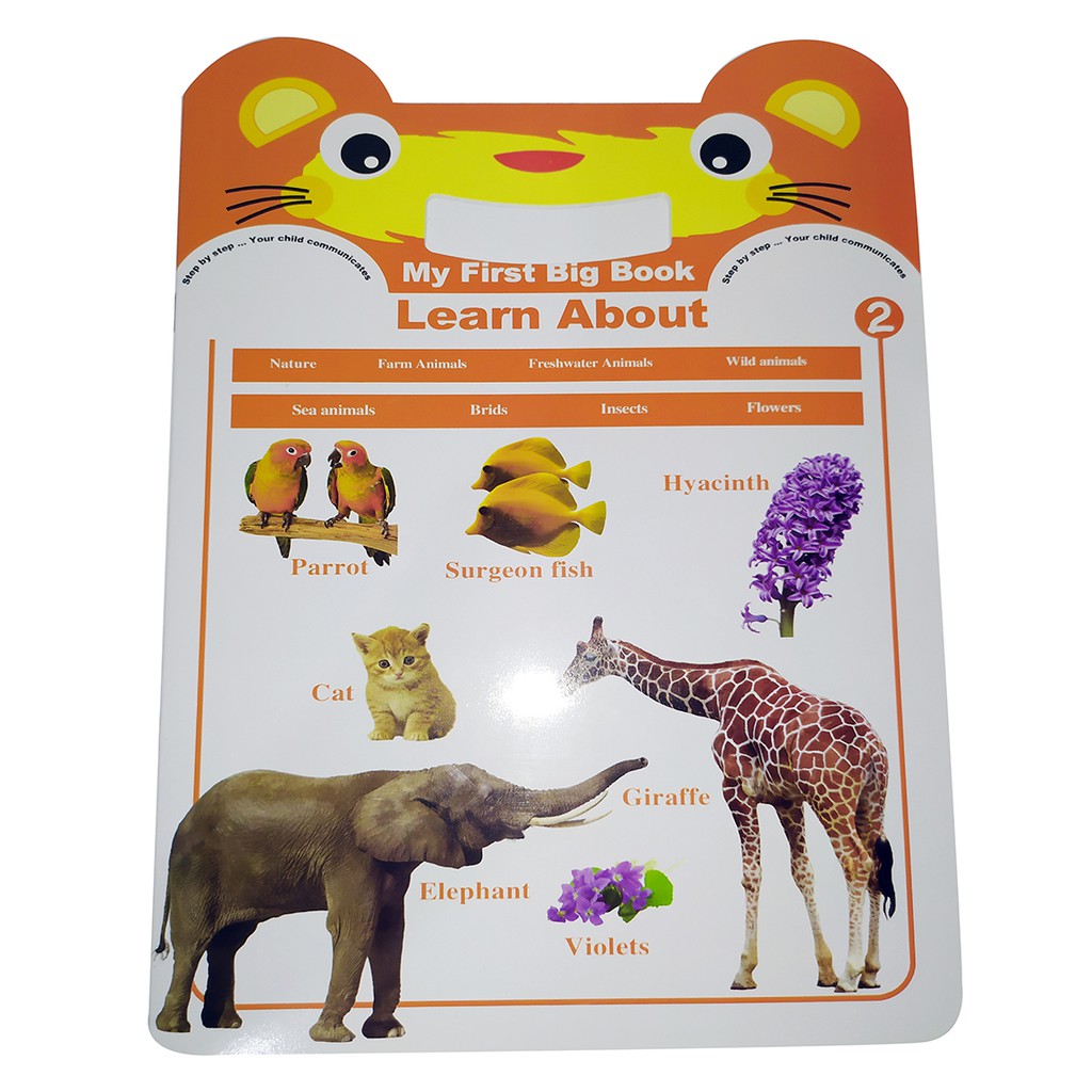 Educational Books / Cognition Treasure / Picture Books / My First Big ...