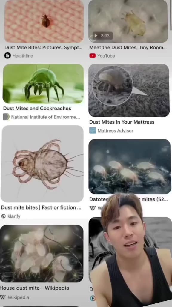 Gaabor Handheld Dust Mite Vacuum Cleaner For Home Mattress Cleaning ...