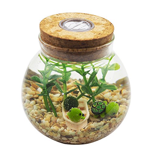 home lifeOMEM Multi Color Aquarium Set Marimo Moss Ball Terrarium Gravel Doll Boat Workbench ...