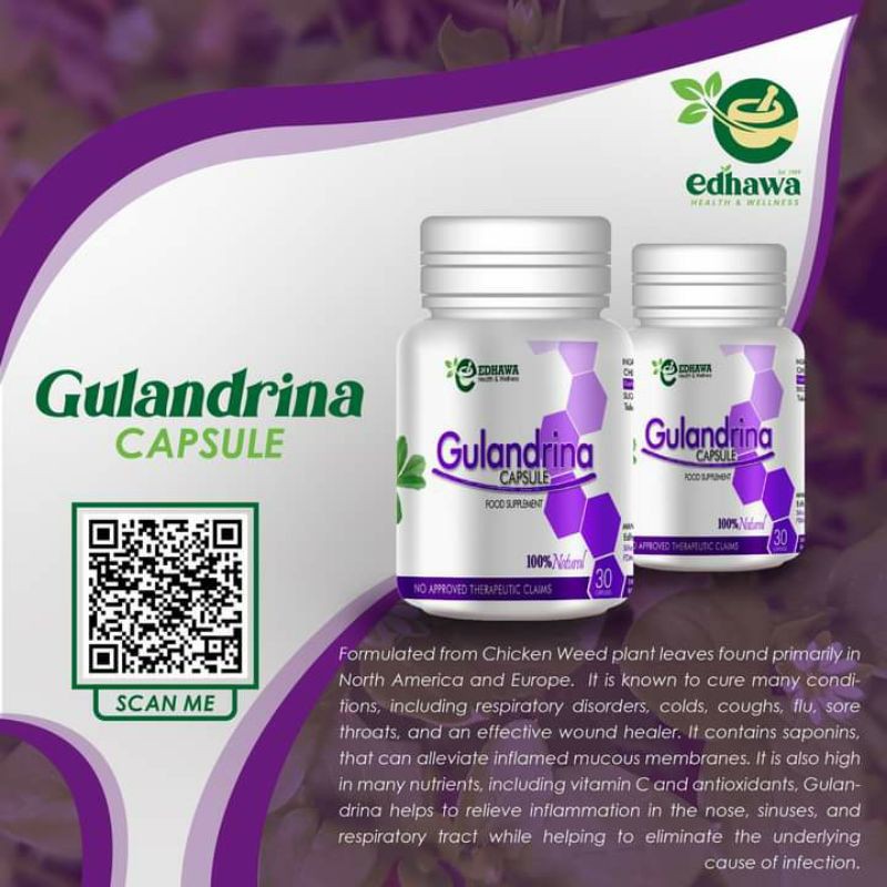 𝙀𝙙𝙝𝙖𝙬𝙖 𝙂𝙪𝙡𝙖𝙣𝙙𝙧𝙞𝙣𝙖 𝙁𝘿𝘼 𝙉𝙊𝙏𝙄𝙁𝙄𝙀𝘿 | Shopee Philippines