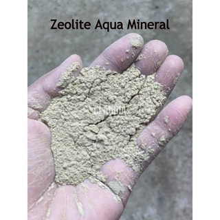 Zeolite Aqua Mineral Powder 1 Kg pack for Aquariums and Ponds | Shopee ...