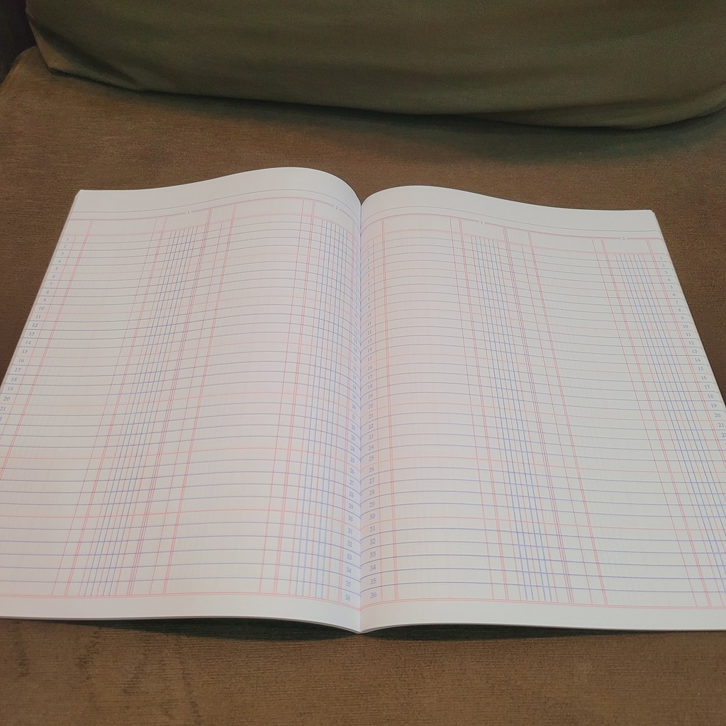 Veco Bir Bookkeeping Ledger Journal, Ledger, Cash, Record, Sales ...