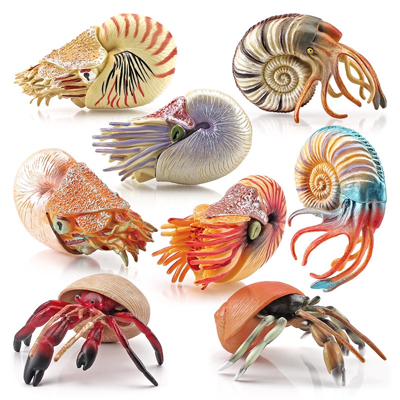 Wholesale Manufacturers Simulation solid marine life model ornament set ...