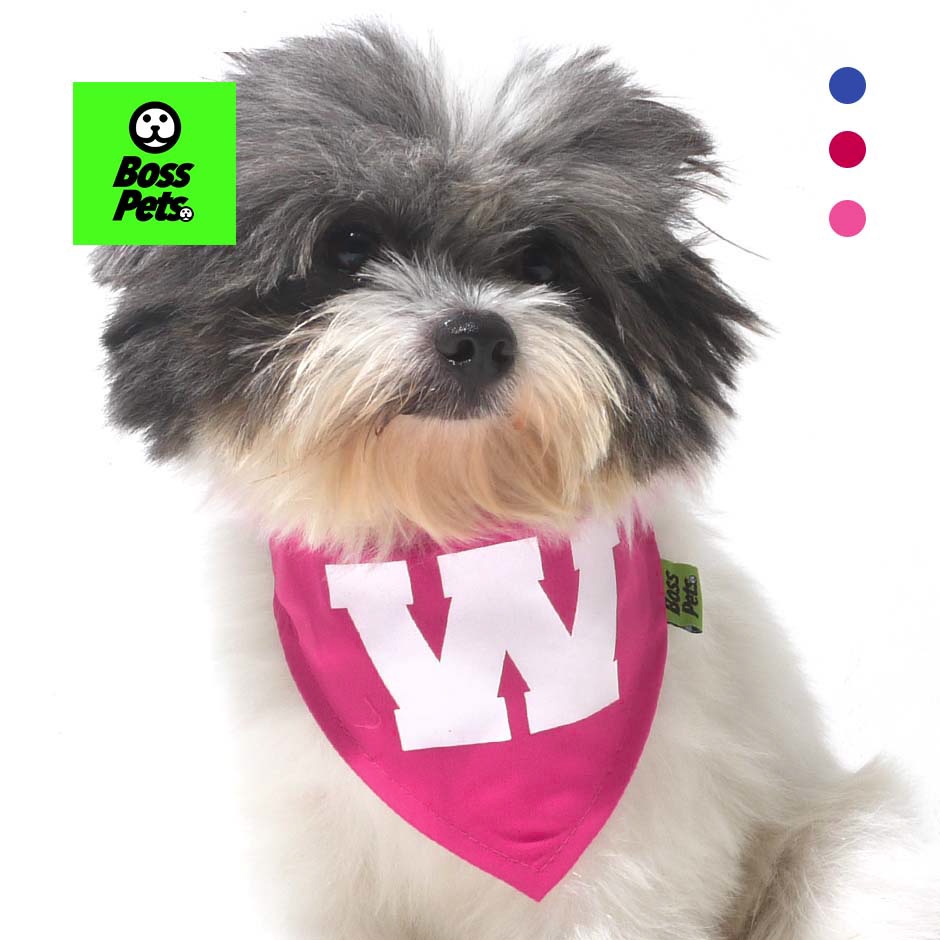 BOSS PETS W (Pet Scarf) | Shopee Philippines