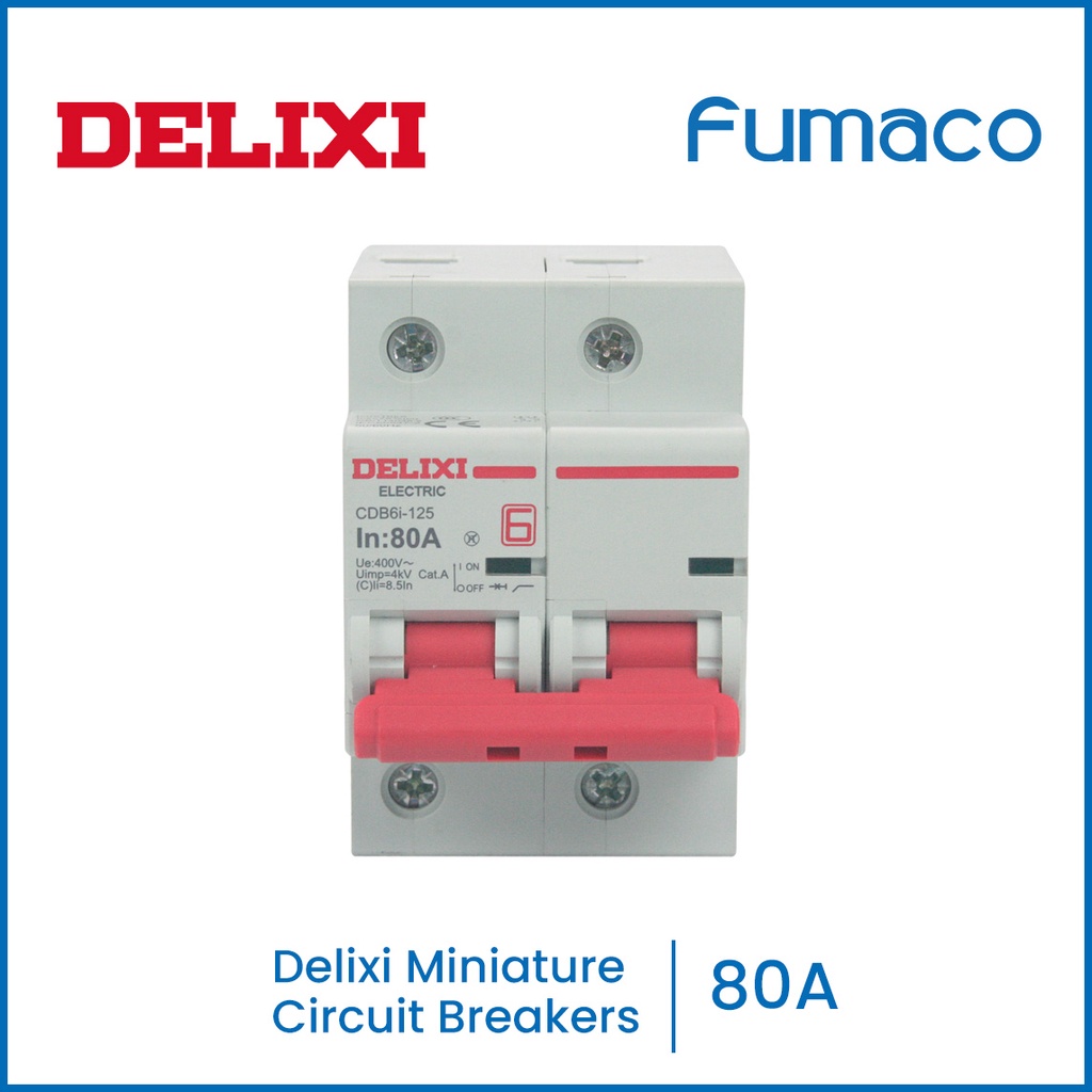 Delixi Miniature Circuit Breaker - 80A / 2 Poles / Best Breaker for ...