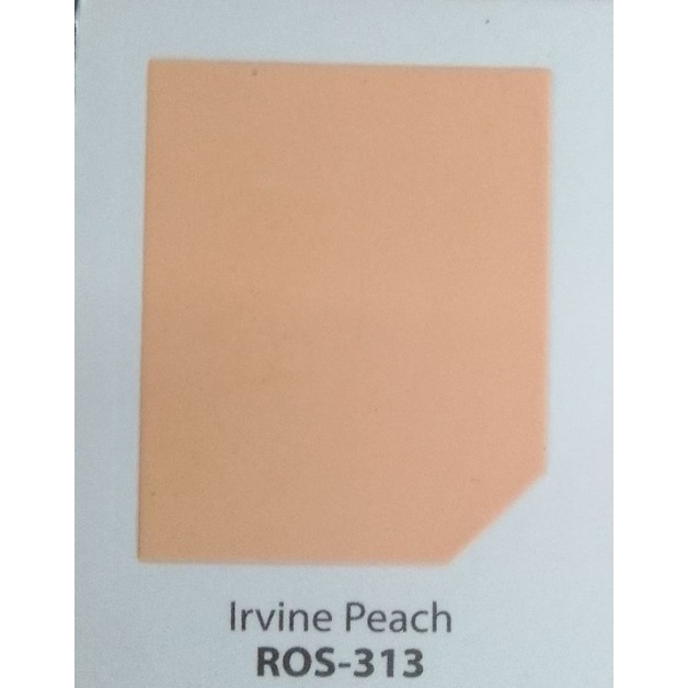 RAIN OR SHINE ELASTOMERIC WATERPROOFING PAINT 1 GALLON (PART2) WALANG ...