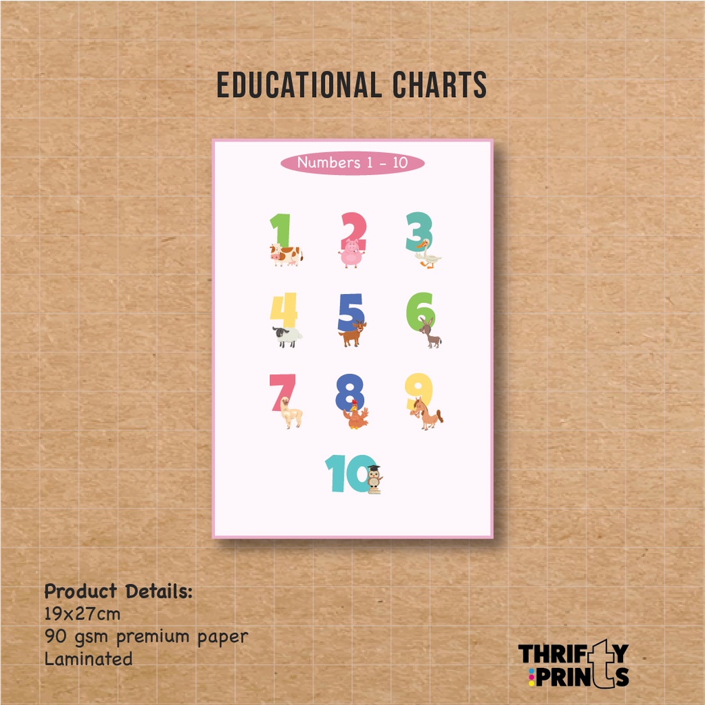 Pink Educational Chart Alphabet Number Days of the week Months of the ...
